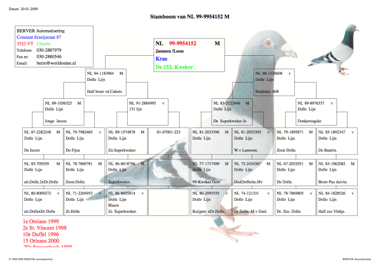 Stamboomprogramma – Berver Automatisering